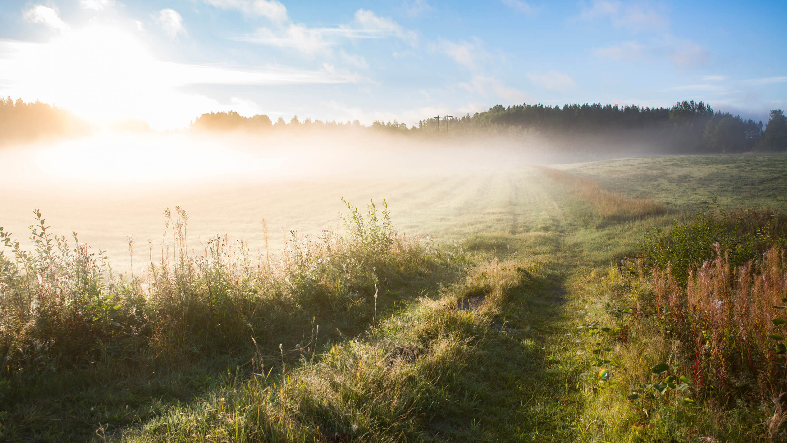 De 5 vanligaste orsakerna till magont - Verum
